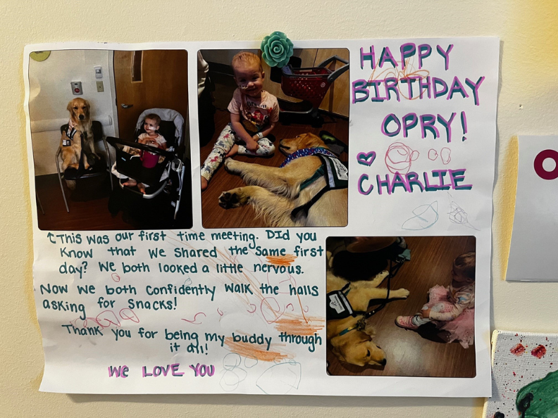 Facility Dogs Bring Joy and Calm to Pediatric Oncology Patients and ...