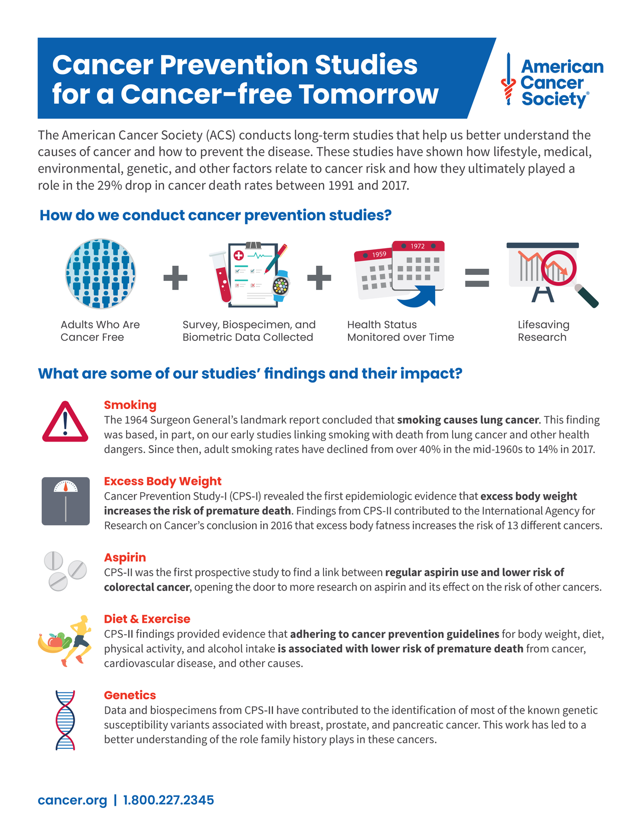 Infographic: Cancer Prevention Studies | American Cancer Society