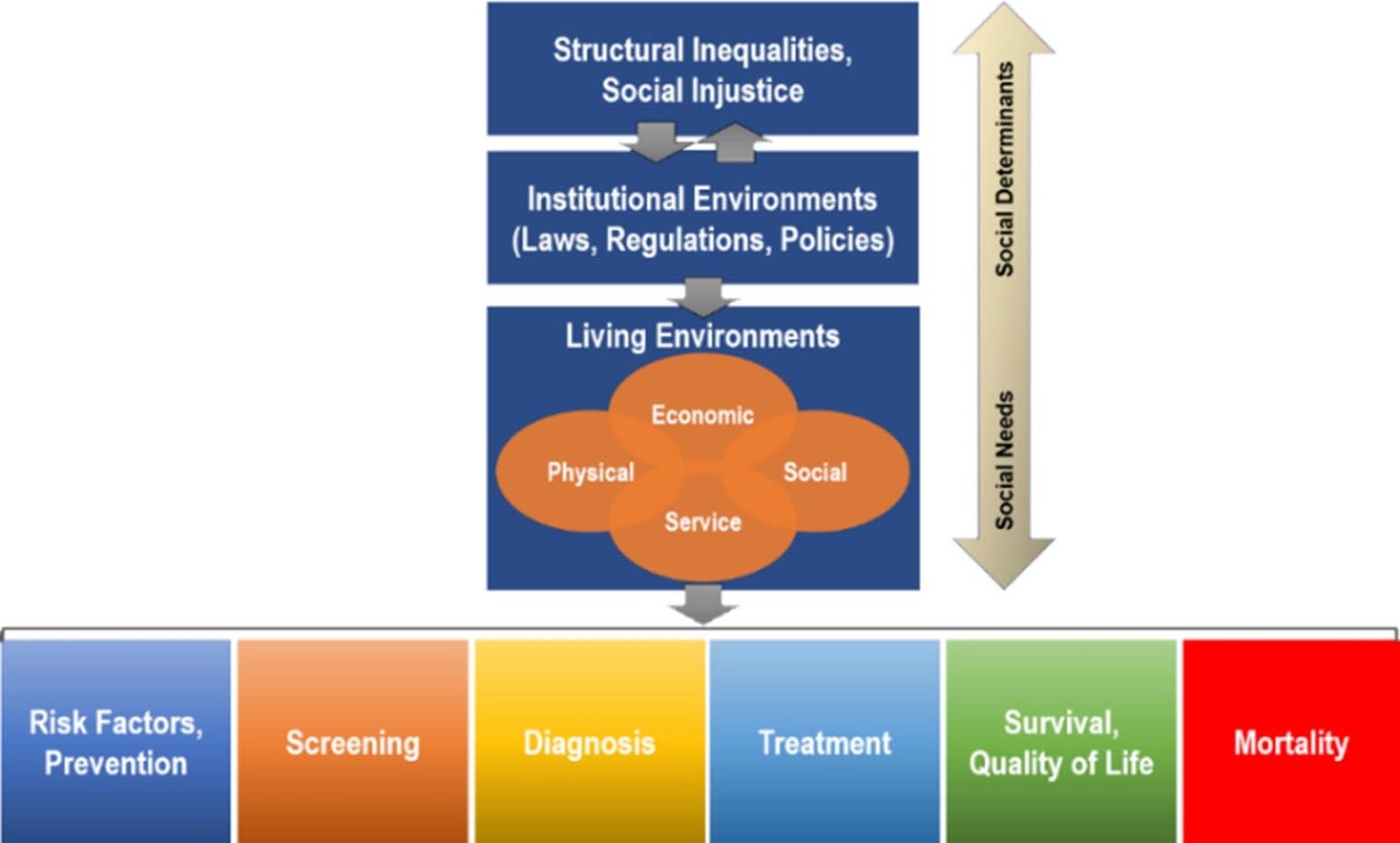 Cancer Disparities Research | American Cancer Society