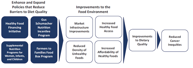 Improving Availability of Healthy Food Reduces Cancer Inequities ...