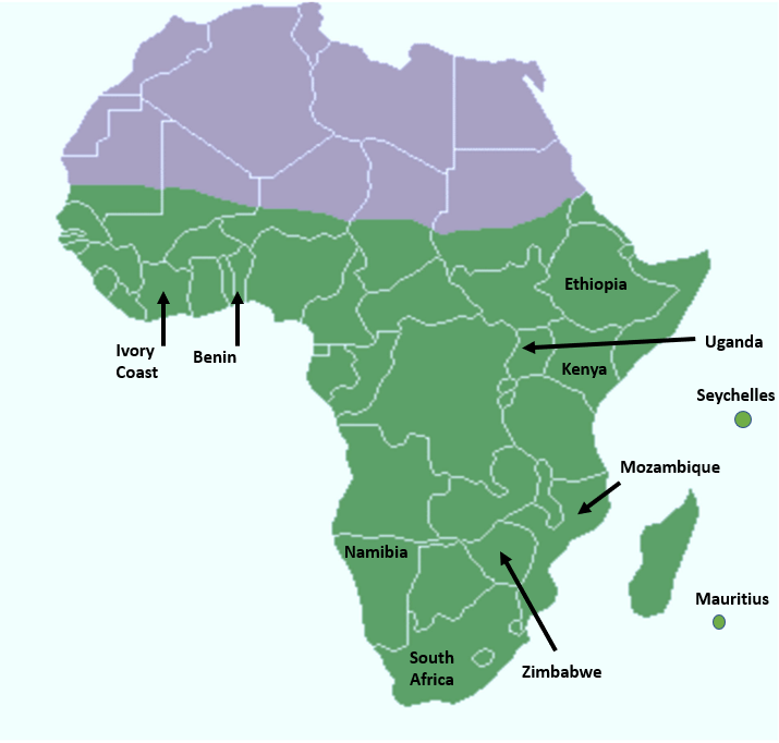 Survival Rates for CRC Remain Low in Sub-Saharan Africa | Research ...