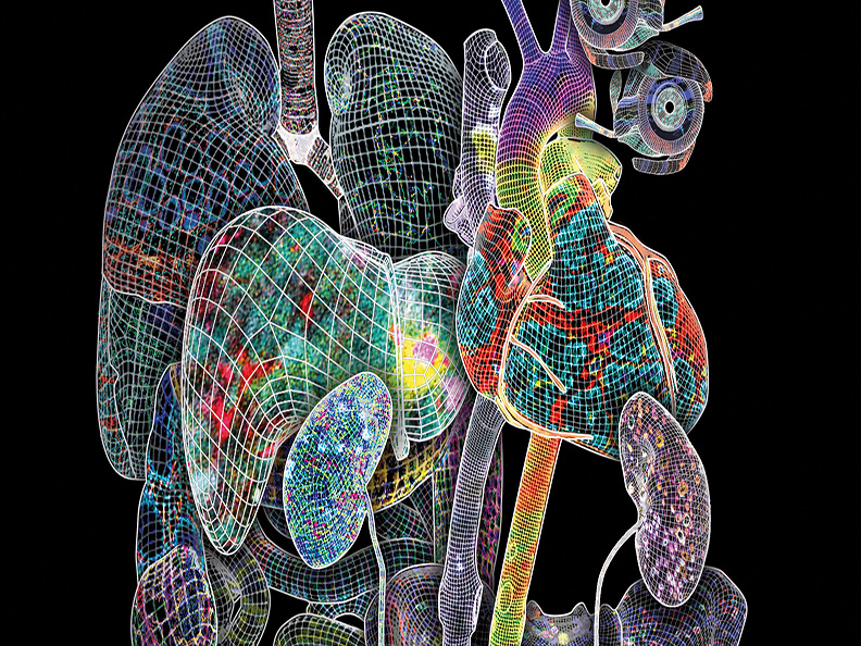 New Spatial Maps of the Intestine Show Cell-Level Details | American ...