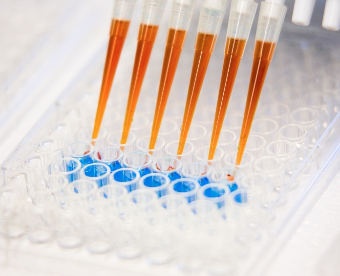 Skin Cancer | Skin Cancer Types | American Cancer Society