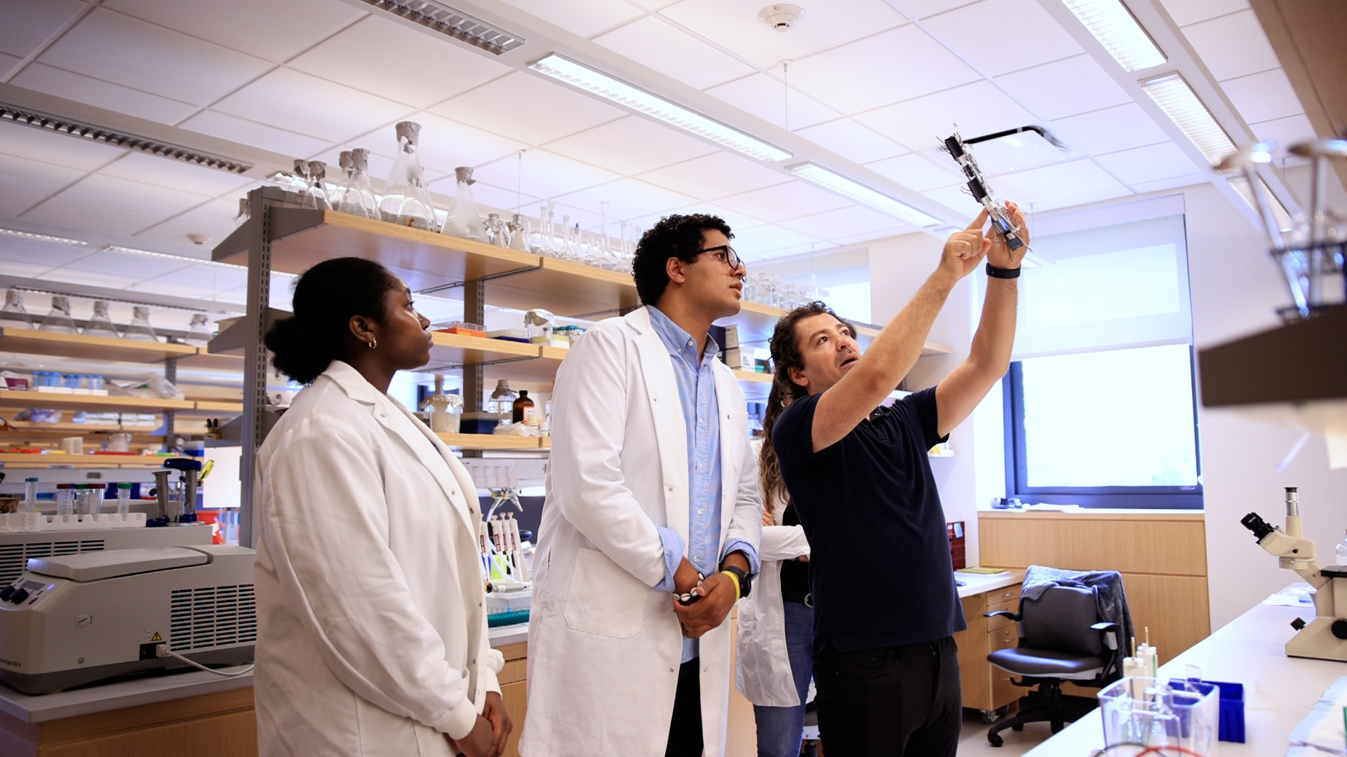 Internship for College Undergraduates | American Cancer Society