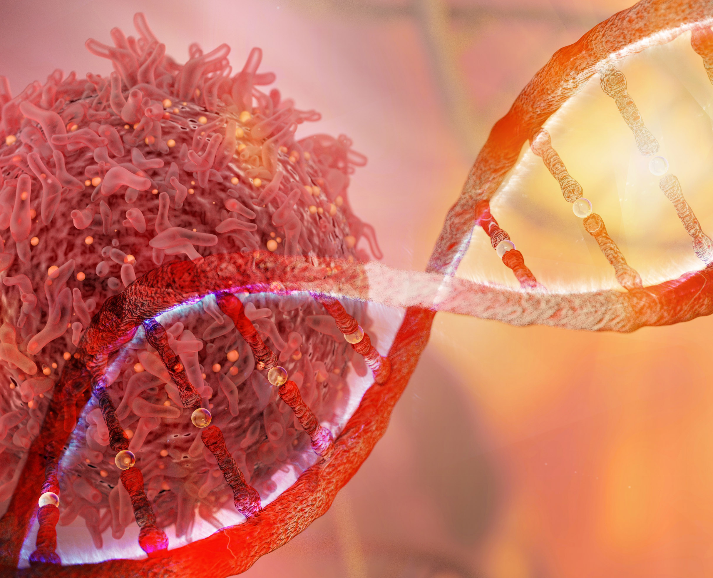 Biochemistry and Immunology of Cancer | American Cancer Society