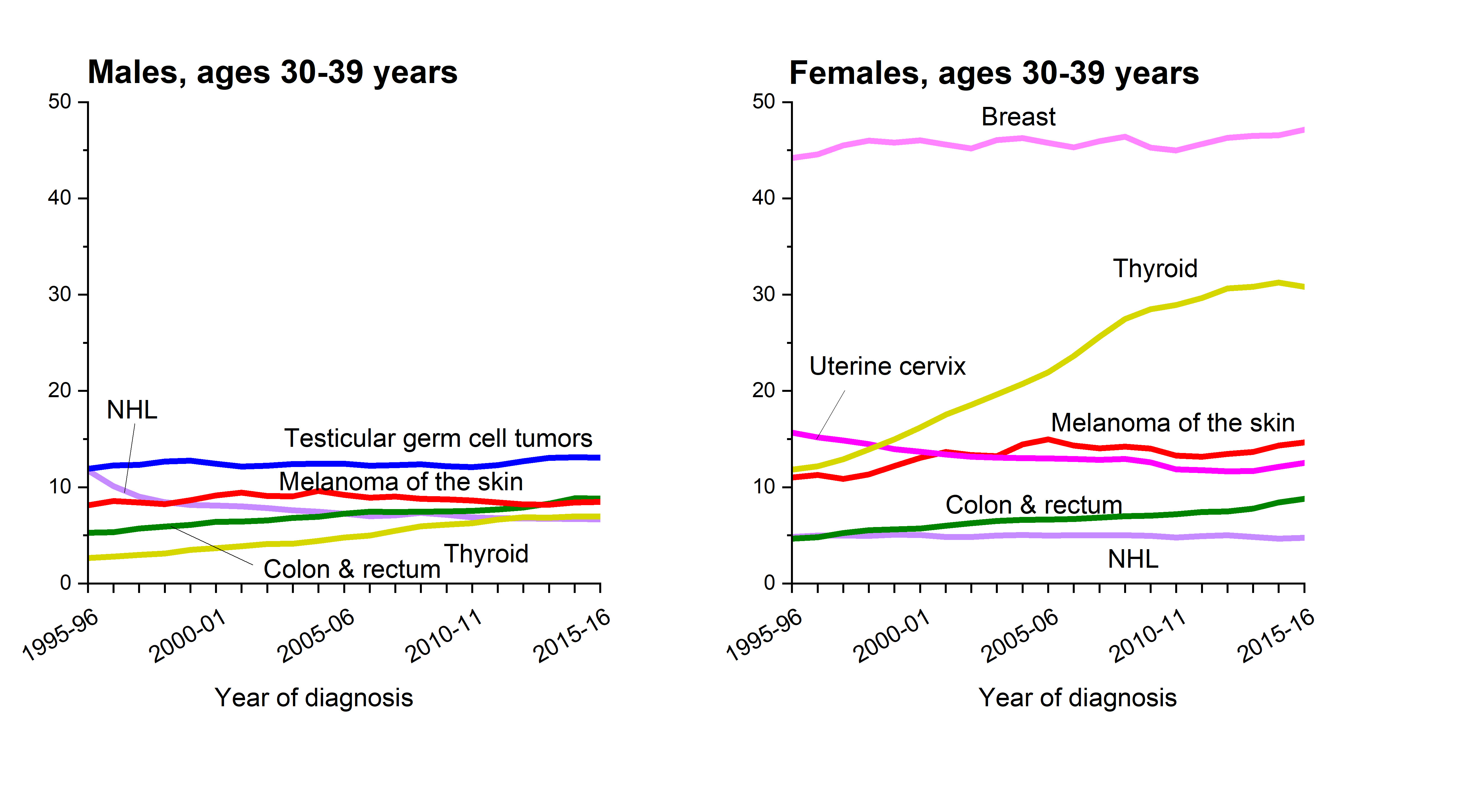 Slideshow: 9 Key Findings from ACS Researchers’ Study of Cancer in ...